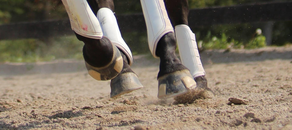 HOOF-LIFE® Acrylic Shoe Adhesive & Hoof Repair – Victory Racing Plate ...