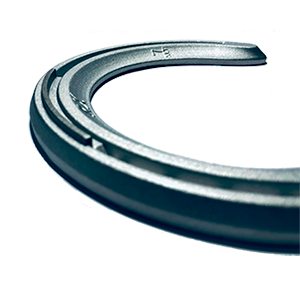 RX XLT – Front – Victory Racing Plate Company