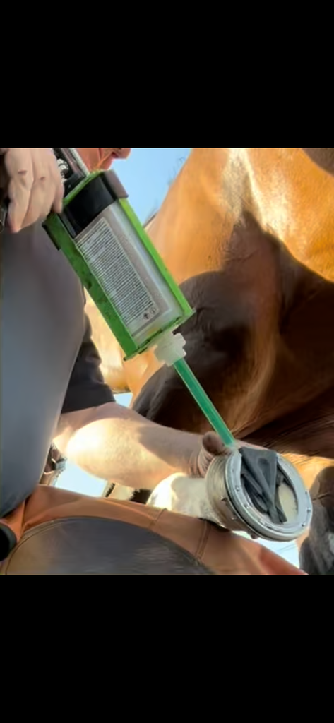 HOOF-LIFE® Urethane Shoe Adhesive & Hoof Support – Victory Racing Plate ...